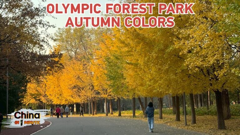 Experience Autumn Magic at Beijing’s Olympic Forest Park - News for ...