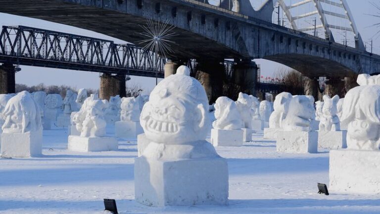 ️ Harbin’s Snowmen: A Winter Wonderland on the Songhua River - News for ...