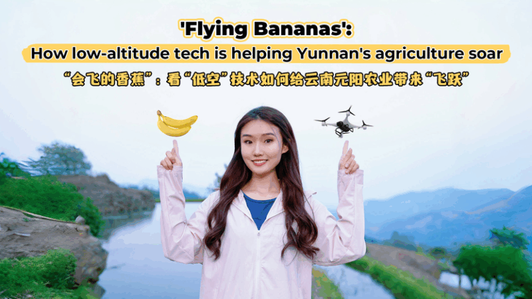 Flying Bananas: Drones Revamp Yunnan Agriculture - News for amigos, by ...