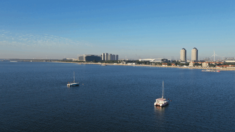 DFTP Marks 1,000-Vessel Shipping Milestone! - News for amigos, by amigos