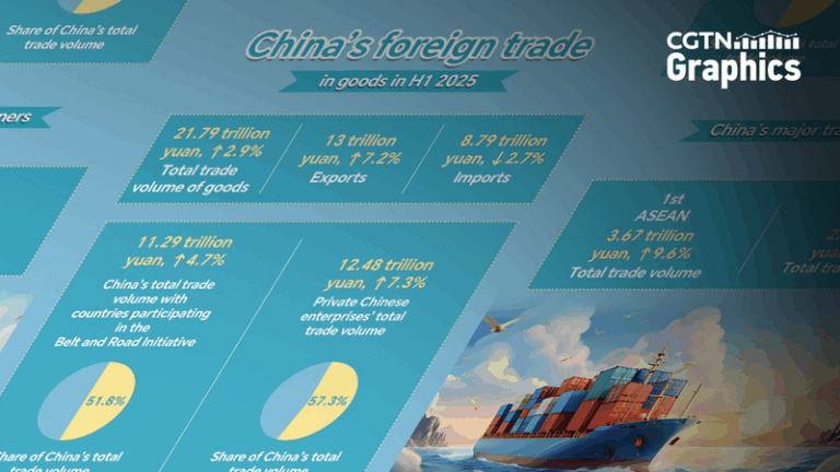 The Chinese Mainland’s Goods Trade Jumps 2.9% in H1 2025 - News for ...