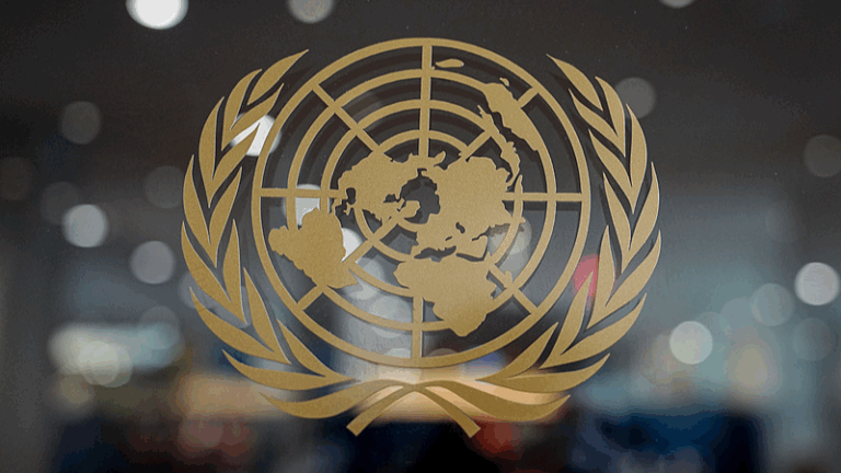 UN Turns 80: Wuhan Seminar Highlights Resolution 2758 - News for amigos ...