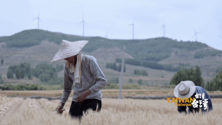 Yang Du Bridges Cross-Strait Ties Through Literature - News for amigos ...