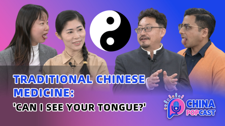 How Gen Z and AI Are Sparking a Digital Boom in Traditional Chinese ...