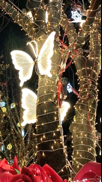 China Prepares for Massive Travel Surge During Mid-Autumn Festival 🌕🚀 ...